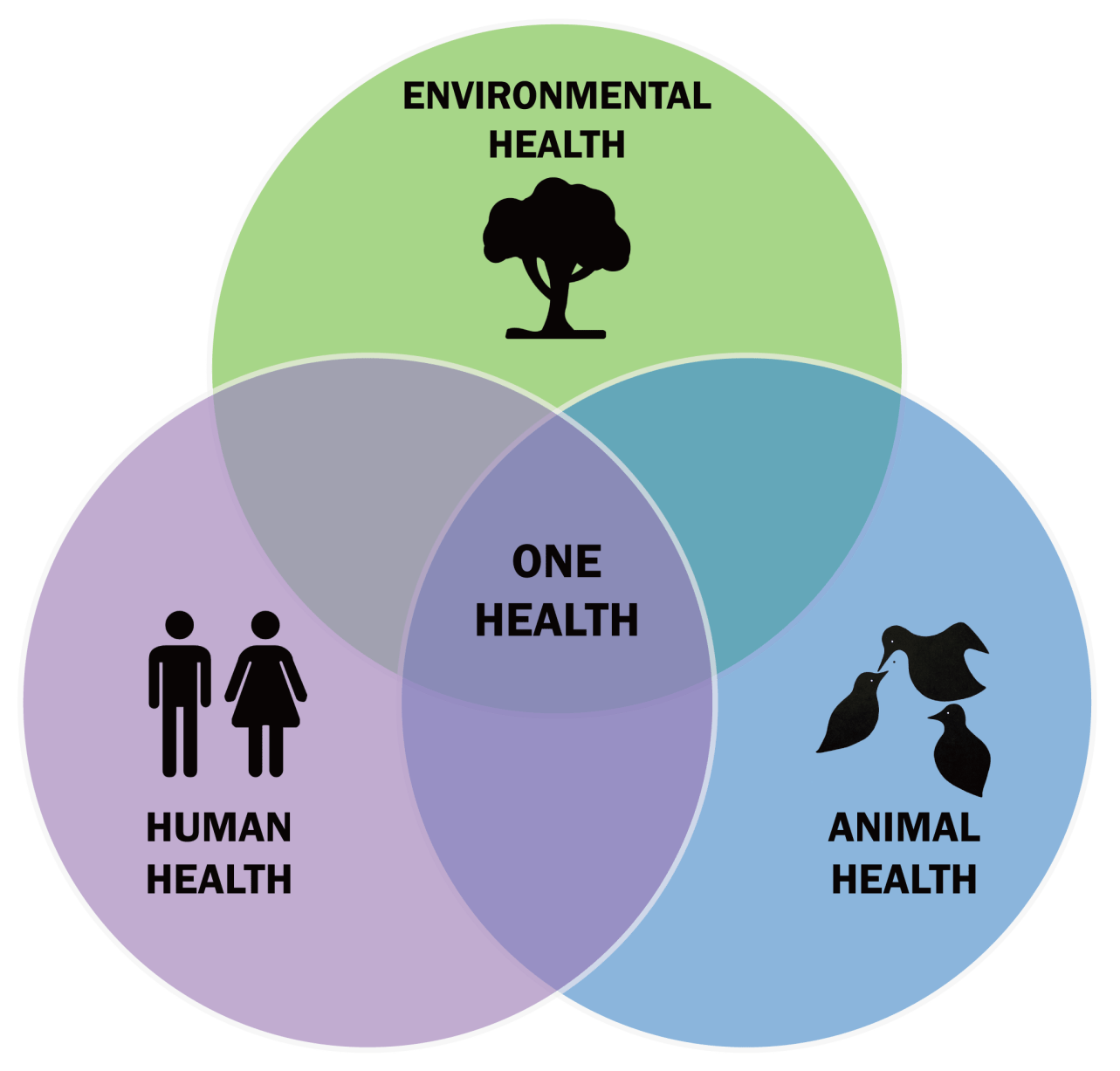 One Health